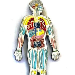 Anatomology | Jewelry | Body Pin Science Pin Lapel Pin Medical Pin ...